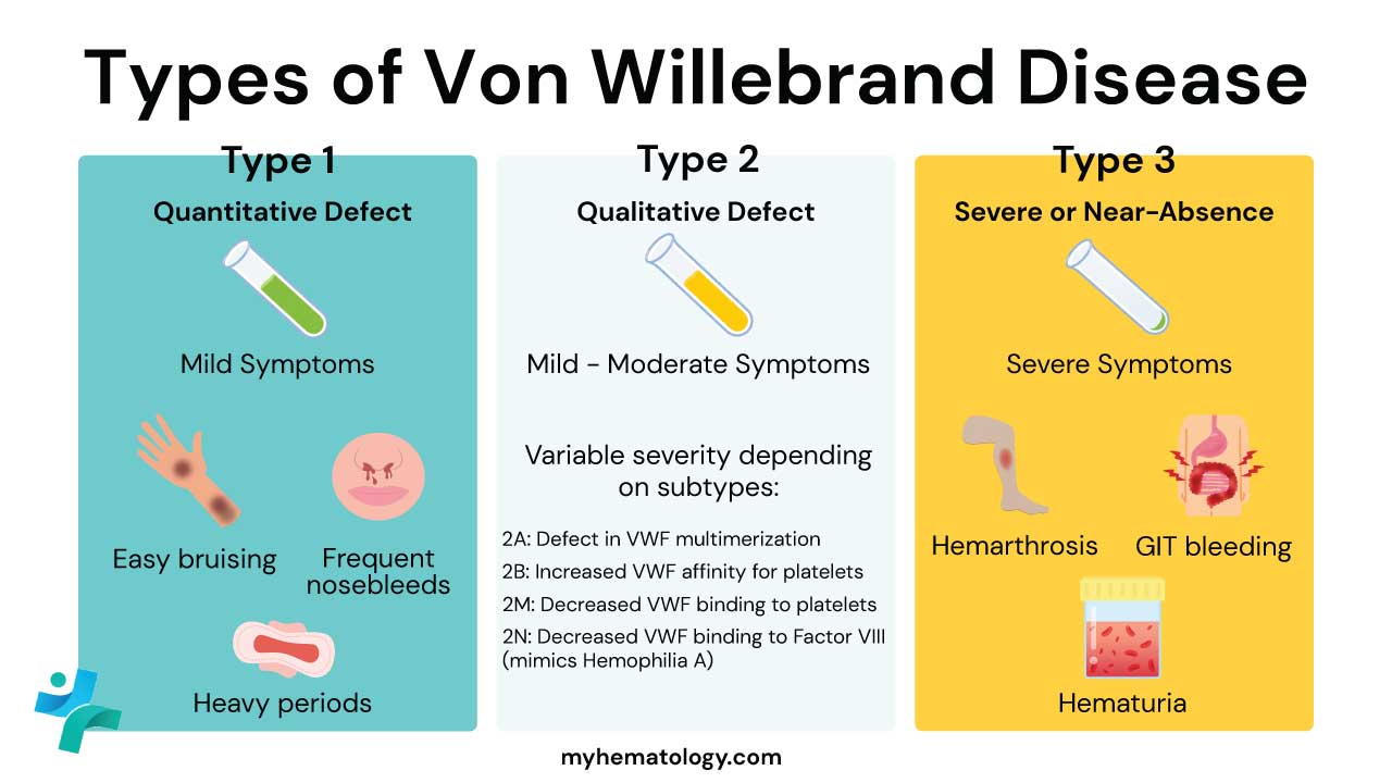 Von Willebrand Disorder or VWD: A Deficiency of VWF