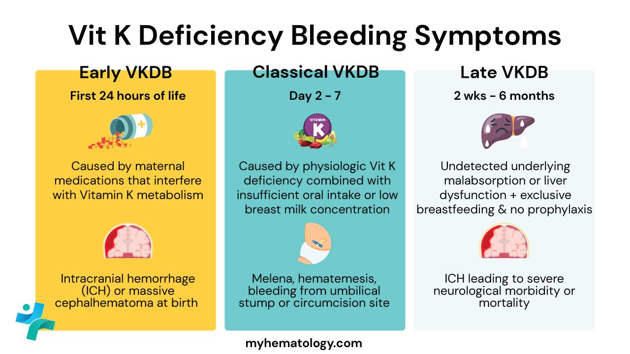 Vitamin K Deficiency Causes Bruising